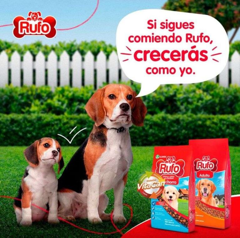 RUFO CELEBRA EL DÍA DEL PERRO EN PANAMÁ – Productos de Prestigio